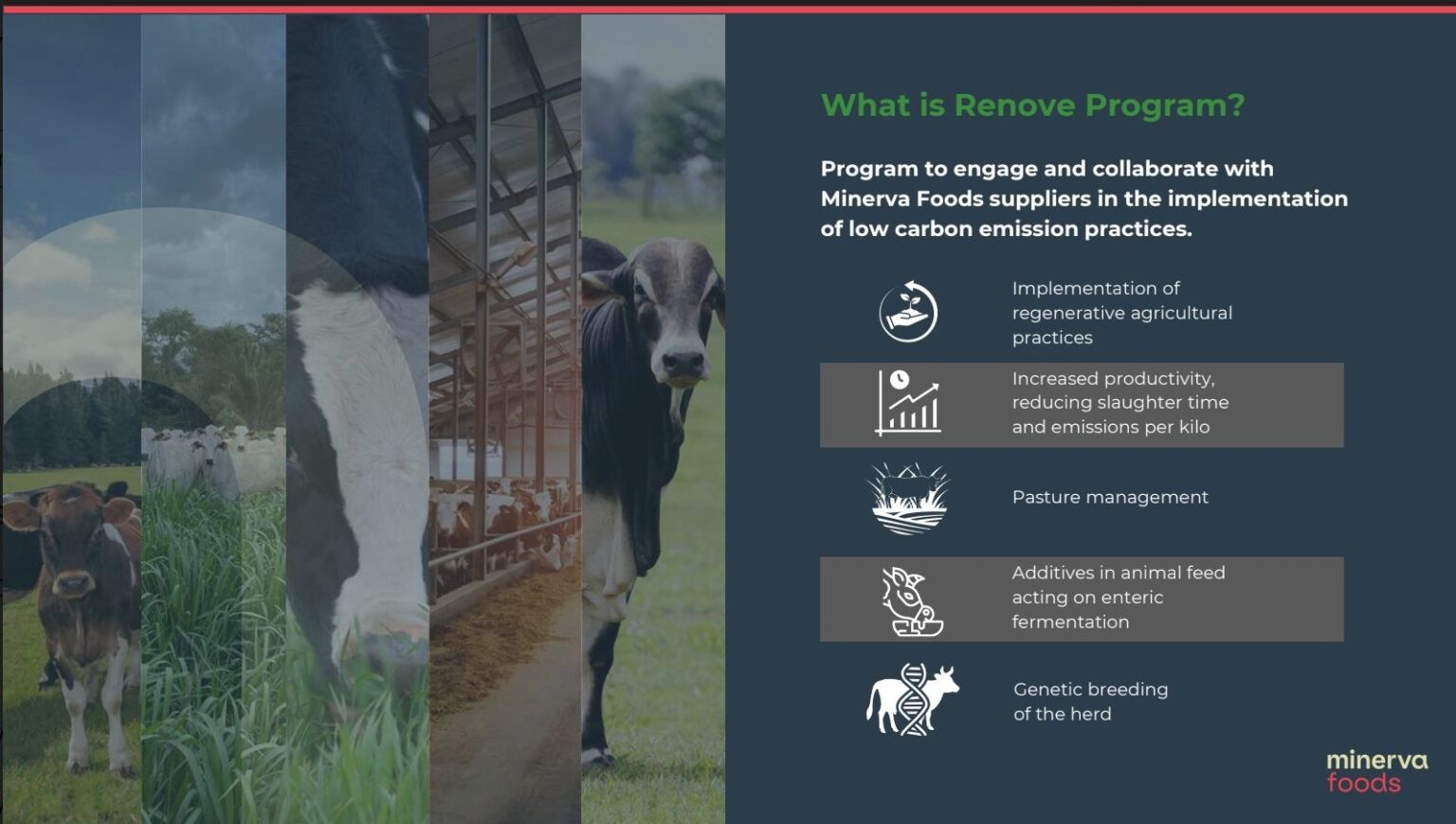 Minerva Foods Commitment to Sustainable meat!